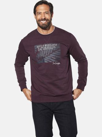 Jan Vanderstorm Sweatshirt LINDSKOV mit nordischem Aufdruck