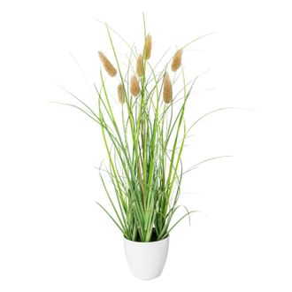 Creativ Green künstliches Gras im weißen Topf 40 cm mit echten getrockneten Wedeln I künstliches Ziegras im Topf I dekoratives Schilfgras für Innen I hochwertige & 