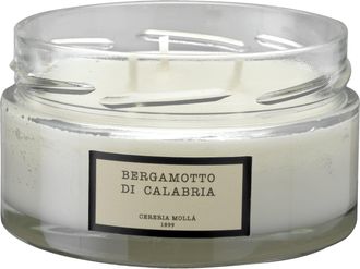 Cerer&iacute;a Moll&aacute; CERER&Iacute;A MOLLA 1899 | Premium Kerze Velvet Wood | 1-Docht Aromakerzen | 50 Stunden Brenndauer | Nat&uuml;rliche Duftkerze | Recycelbare Verpackung | Handgem