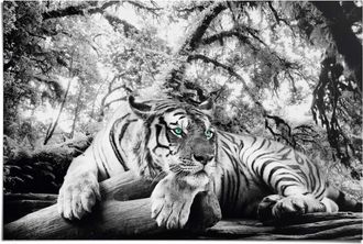 Reinders Poster, Hirsch im Wald, Wohnzimmer, Poster, Wanddeko, Room Decor, 150 gr. gl&auml;nzend Bilderdruckpapier, Schwarz-Wei&szlig;, 61 x 91,5