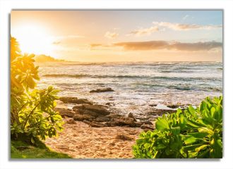 Wallario selbstklebendes Poster - Strand im Morgenlicht, Aufkleber in Premiumqualit&auml;t, Klebefolie Gr&ouml;&szlig;e: 70 x 100 cm (Riesenposter)