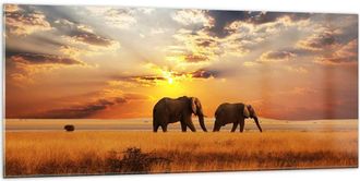 Arttor Wandbilder Dekoration Wohnzimmer Elefanten Safari Dschungel Busch Panorama Bilder auf Glas 120x50cm Glasbild Schlafzimmer Küche Wand Kunstdruck Art Gr