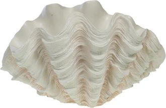 Amefa Amefa - Coupe Coquillage Benitier XXL