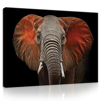 ForWall Leinwand Bilder - Elefant - 100x75 cm Leinwandbilder - Bild auf leinwand - Wandbild XXL gro&szlig; Wandbilder f&uuml;r Wohnzimmer Schlafzimmer Wohnzimmerbilder M