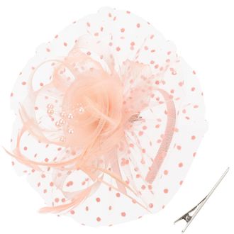 Dreshow Fascinator H&uuml;te f&uuml;r Damen Pillbox Hut mit Schleier Stirnband und Einer Gegabelten Clip Tea Party Kopfbedeckung