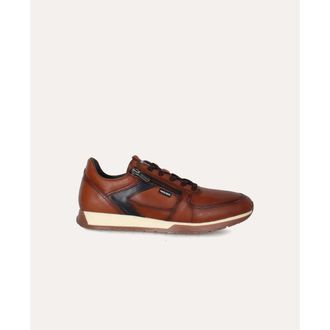 Pikolinos m5n-6362c1