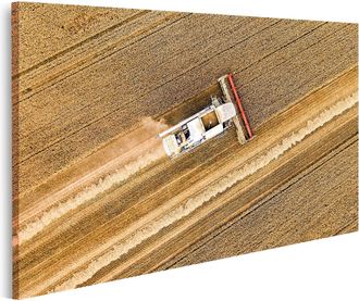 Islandburner Bild auf Leinwand Ernte Arbeiten Ernte M&auml;hdrescher Arbeiten Landwirtschaftliches Feld Weizen Luftaufnahme Draufsicht A Wandbild Leinwandbild Bilder f&uuml;