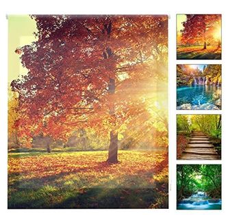 Blindecor w-p-37235 - Rollo lichtdurchl&auml;ssig, Digital, Bedruckt, 130 x 180 cm