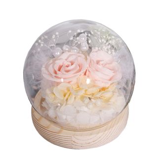 Generic Konservierte Blumenkuppel - im, romantische dekorative Pr&auml;sentation, langlebiges Blumengeschenk | Frauen, Mutter, Oma, Heimdekoration, Feiertag, Jahre