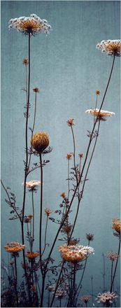 Wallario Glasbild Filigrane Wildblumen - 50 x 125 cm Wandbilder Glas in Premium-Qualit&auml;t: Brillante Farben, freischwebende Optik