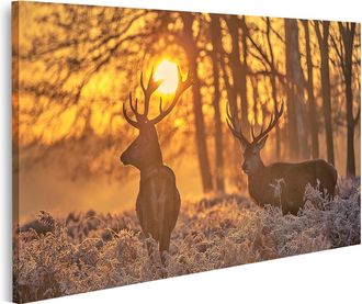 Islandburner Bild auf Leinwand Hirsche Bei Sonnenuntergang Im Wald Bilder Wandbilder Poster
