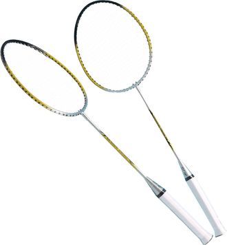 Generic Badminton-Set Pro