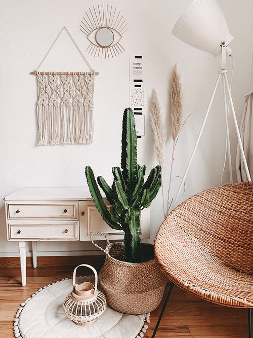 deco intérieur cactus