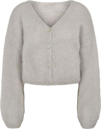 Americandreams Americandreams, Femme, Pulls, Gris, Taille: 42 FR Cornelia Cropped Cardigan