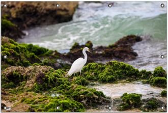 Wallario Outdoor-Poster f&uuml;r Garten oder Balkon Reiher an der K&uuml;ste, Motivbanner Gr&ouml;&szlig;e: ca. 80 x 120 cm, Outdoor-Bild