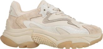 Ash Low-Top Sneaker - Addict03 - Gr. 36 (EU) - in Beige - für Damen