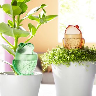 Scheurich Wasserspender Froggy M | 1x Gr&uuml;n | 140 ml F&uuml;llmenge | Bew&auml;sserungskugel klein mit Ton Fu&szlig; | Wasserspender Pflanzen und Blumen Terrakotta Stiel