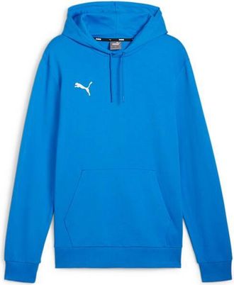 Puma Herren Pullover teamGOAL Casuals Hoody