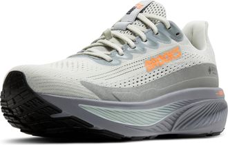 Brooks Herren Ghost 17 GTX Sneaker, Smoke/Primer Grey/Orange, 42 EU