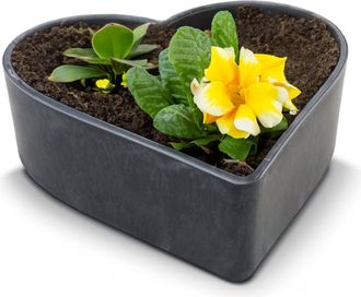 Matches 21 matches21 wetterfeste Pflanzschale Herz für draußen - große Dekoschale in schwarz marmoriert als Blumen-Schale - Garten-Deko Schale in 24 cm für Blume