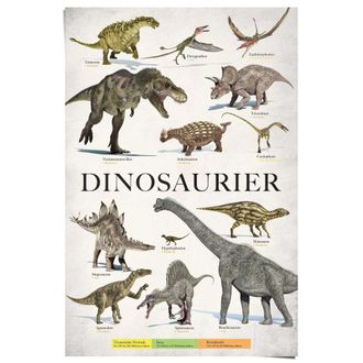 Reinders Poster, Dinosaurier, Kinderzimmer, Poster, Wanddeko, Room Decor, 150 gr. gl&auml;nzend Bilderdruckpapier, Gr&uuml;n, 91,5 x 61