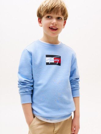 Tommy Hilfiger Sweatshirt TOMMY SCRIPT FLAG SWEATSHIRT f&uuml;r Kinder bis 16 Jahre, Flag-Logo-Druck