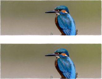 Generic 2 x Mikrofaser-Handt&uuml;cher, sch&ouml;ne blaue Eisvogel-Sport-Workout-Handt&uuml;cher