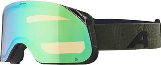 Alpina Herren Brille BLACKCOMB Q