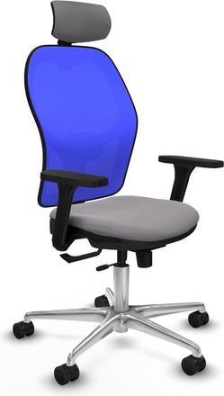 Piqueras y Crespo Ergonomischer Stuhl mit 3D-Armen, h&ouml;henverstellbare Lendenwirbelst&uuml;tze und h&ouml;henverstellbares Kopfteil, Blau/Grau