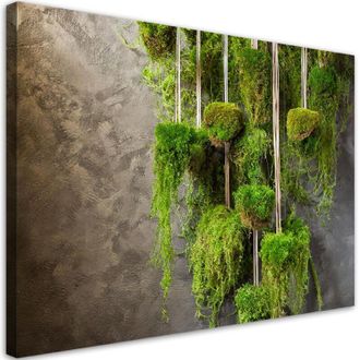 Artgeist Tableau d&eacute;co Plante de mousse Botanique 90x60