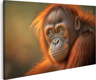 Islandburner Bild auf Leinwand Portr&auml;t Orang Utan Sonnenuntergang Portr&auml;t Orang Utan Regenwald Insel Borneo Son Bilder Wandbilder Poster IVAB-1P