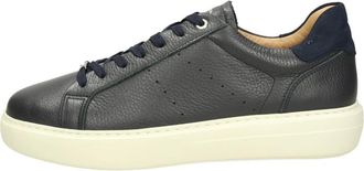 Ambitious Homme, Chaussures, Bleu, Taille: 42 EU Phoenix Low-Top Baskets