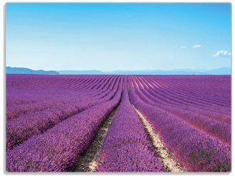 Wallario Glasunterlage/Schneidebrett aus Glas, Lavendelfeld unter blauem Himmel, Gr&ouml;&szlig;e 30 x 40 cm, Kratzfest, aus Sicherheitsglas