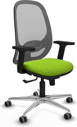 Piqueras y Crespo Cilanco Schreibtischstuhl mit 2D-Armlehnen, h&ouml;henverstellbare Lendenwirbelst&uuml;tze, ausgestattet mit 3 Positionen und Schneideschaum, Grau/Pistazie
