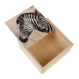 Fabulous Box aus Holz - Paar junge Zebra-Tiere Wildtiere, Savanne Afrika (11 x 11 x 3,5 cm)