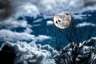 1art1 Gothic XXL Poster Die DREI Raben Bei Vollmond Plakat | Bild 120x80 cm