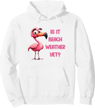 BDAZ Lustiger Winterschnee ist es Strandwetter? Pullover Hoodie