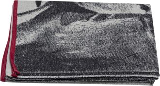 David Fussenegger [W2307] Baumwolldecke Kuh fotorealistisch Filz, 200x140 cm