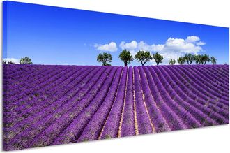 Paul Sinus Art 150x50cm Leinwandbild auf Keilrahmen Provenxe Lavendelfeld B&auml;ume Sommer Wandbild auf Leinwand als Panorama