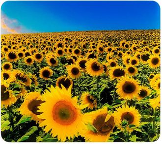 WENKO Multi-Platte Sonnenblumenfeld - für Glaskeramik Kochfelder, Schneidbrett, Gehärtetes Glas, 56 x 0.5 x 50 cm, Mehrfarbig