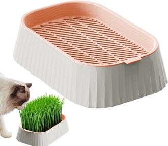 Generic Cat Grass Grower - PP, Polystyrol Haustier Gras - -Innenpflanzer, Doppelschicht Pflanzwerkzeuge SOILLING Container, gesunder Weizengrasstrower Pet Sup