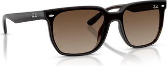 Ray-Ban Sonnenbrillen 0RB4466D Braun