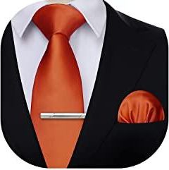 Hisdern Cravate Orange Homme Formelle Élégante Classique Ensemble de Cravates et Mouchoir et Pince pour Mariage Affaires Fête
