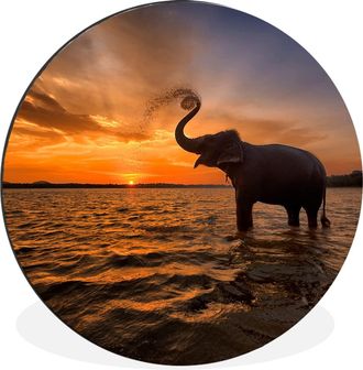 MuchoWow Wandbild Rund Wanddeko Deko Wohnzimmer Bilder 30x30 cm Elefant - Meer - Tiere - Sonnenuntergang - Orange