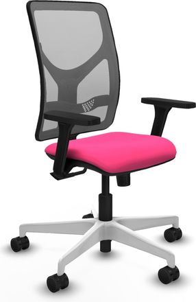 Piqueras y Crespo Rosa Palo Schreibtischstuhl mit 3D-Armlehnen, h&ouml;henverstellbare Lendenwirbelst&uuml;tze, ausgestattet mit 3 Positionen und Schneideschaum, Grau/Rosa