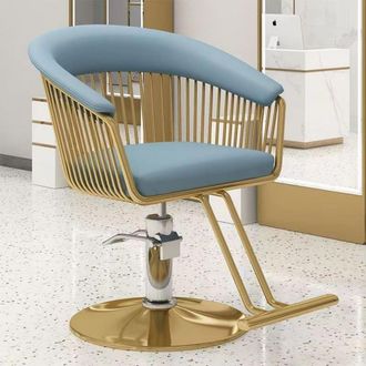 Generic Friseurstuhl f&uuml;r Den Heimsalon, Professionell, Hydraulisch Drehbar und Verstellbar, f&uuml;r Haarstyling