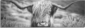 Reinders Wandbild, Highlander Bulle, Wohnzimmer, Bilder, Wanddeko, Room Decor, MDF, Schwarz-Wei&szlig;, 52 x 156