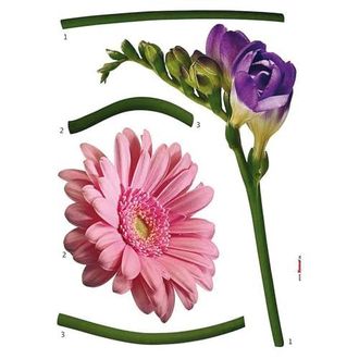 Komar Deco-Sticker FIORE | 50 x 70 cm | Wandtattoo, Wandbild, Wandsticker, Wandaufkleber, Walltattoo, Blumen, Blüten, Natur, Gerbera, Freesien | 18887h