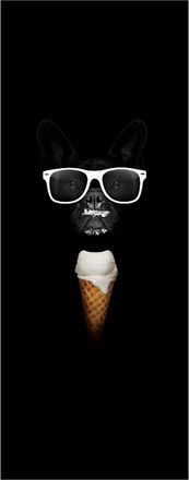 Wallario Glasbild Hund mit EIS - 50 x 125 cm Wandbilder Glas in Premium-Qualit&auml;t: Brillante Farben, freischwebende Optik