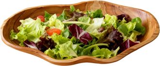 Generic Holzschale,Nat&uuml;rliche Obstschale | Dekorative Salat Serviersch&uuml;ssel Mit Abmessungen 39,9 X 17,8 X 5,8 Zentimeter,Geeignet F&uuml;r Essen, Dessert, Snack, T